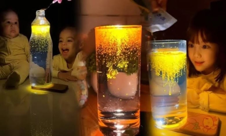 Curcuma et eau : un phénomène éducatif - FR.Zeen magazine