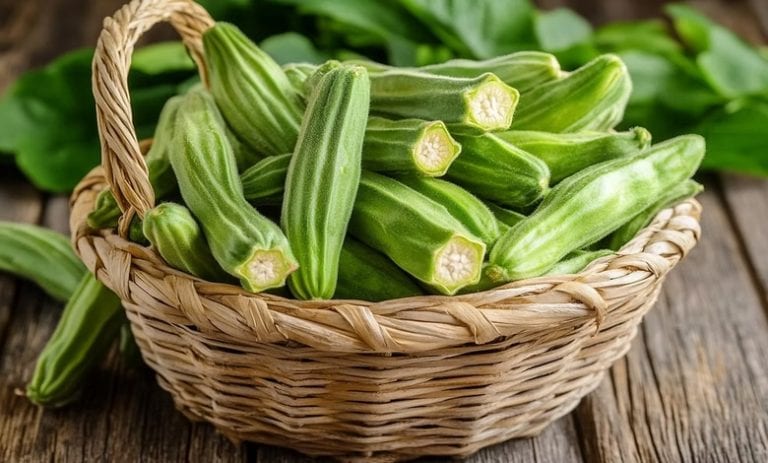 La gombo : un légume ancien aux multiples bienfaits - FR.Zeen magazine